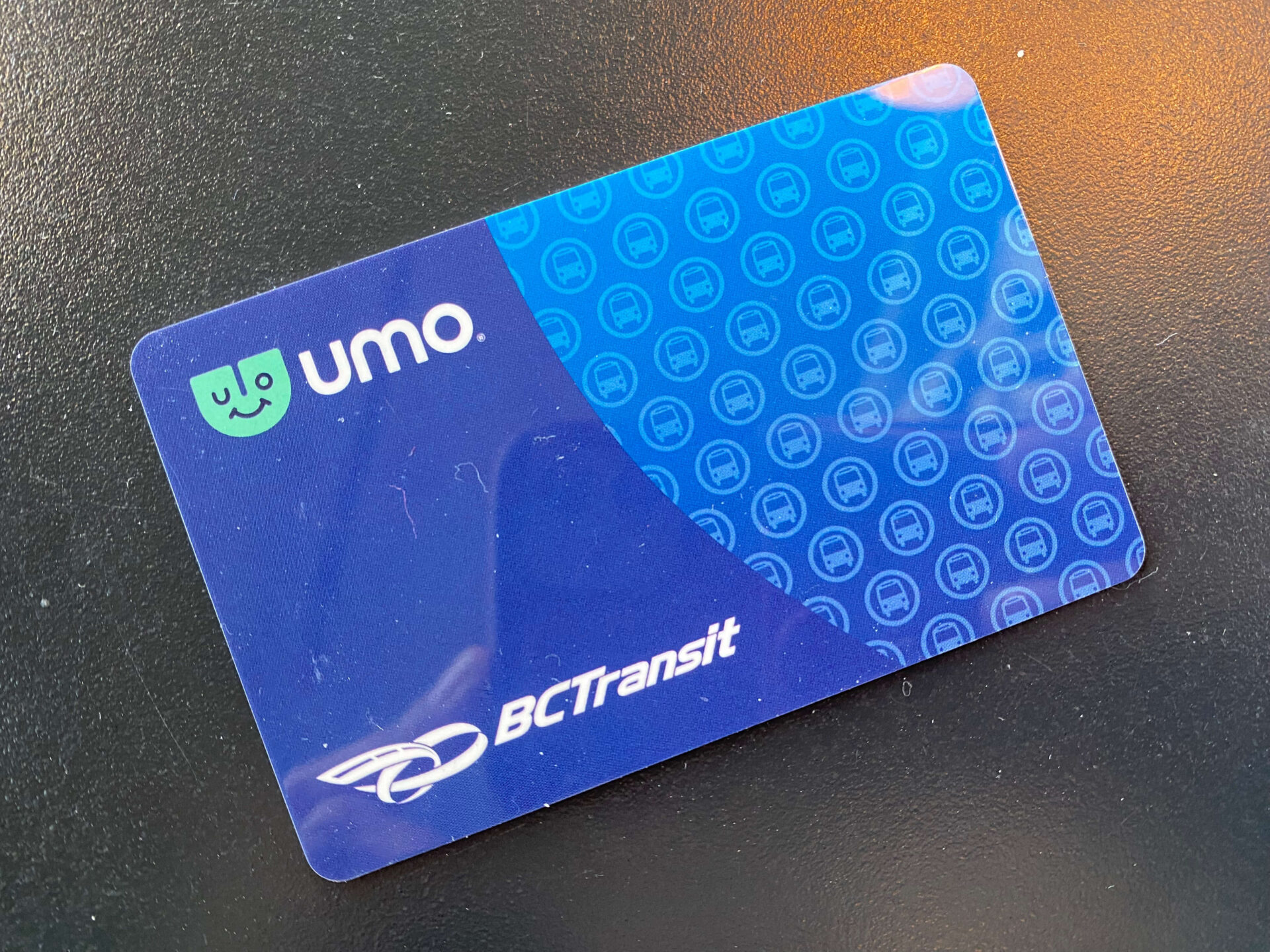 【2025年最新】ケロウナの公共バスの乗り方解説！新システム UMO（ユーモ）の使い方まで | ケロウナ info.jp